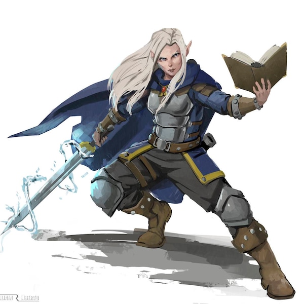 Custom Character Commission for RPG - Etsy