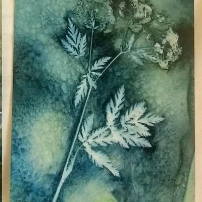 Botanical Art Cards, Multi Pack of Five Cards From Original Wet ...