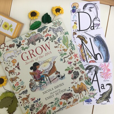 A to Z Menagerie. 26 Animal Alphabet Learning and Teaching Flash Cards ...