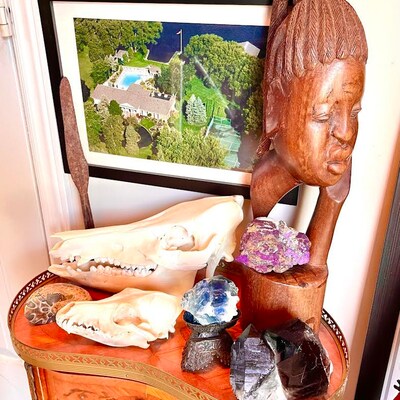 Agatized Turritella Shells - Etsy