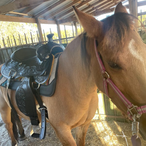 Kids Western Horse Leather Barrel Saddle, New Style Racing Saddle ...