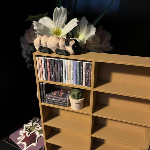 1/6 Scale 3 Shelf Mini Library Cart/ Mini Brands Books / Mini Books ...