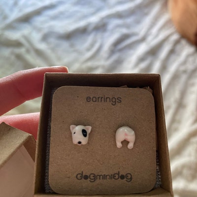 Pomeranian Stud Earrings, Pomeranian Earrings, Pomeranian Gifts ...