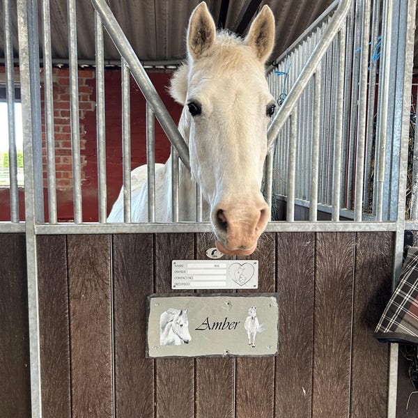 Handpaint Horse Stable Sign 30cm X 10cm - Etsy UK