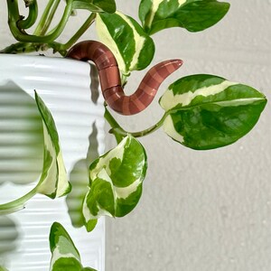 Earthworm Pot Pal Plant Pot Accessory - Etsy