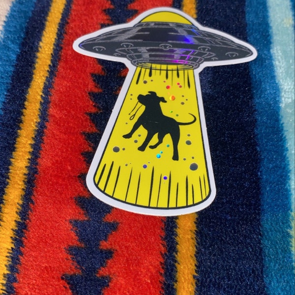 Flailing Cat / UFO Abduction Sticker Holographic Decal Graffiti - Etsy