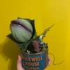 Baby Audrey II Replica Prop Display From "little Shop of Horrors" - Etsy