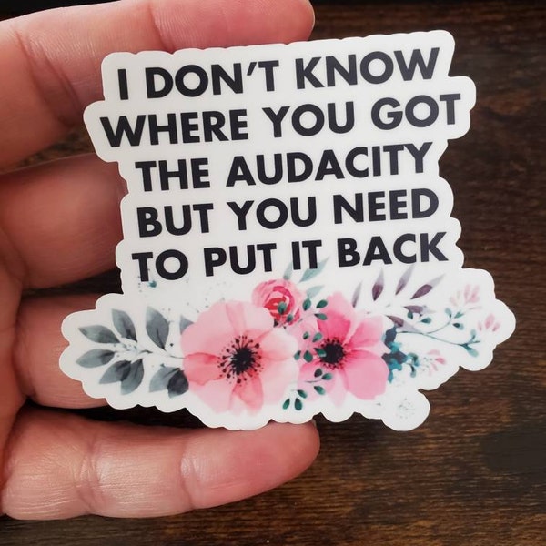 Don’t Know Where You Got the Audacity but You Need to Put It Back Vinyl ...