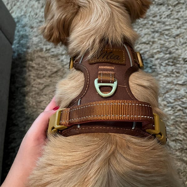 Personalized Pet Harness, Night Reflective Collar With Customized Name ...