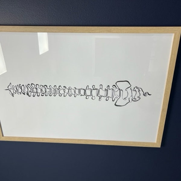 6 Human Bone Drawing Art Prints, Skeleton Wall Art Set, Minimal Medical ...