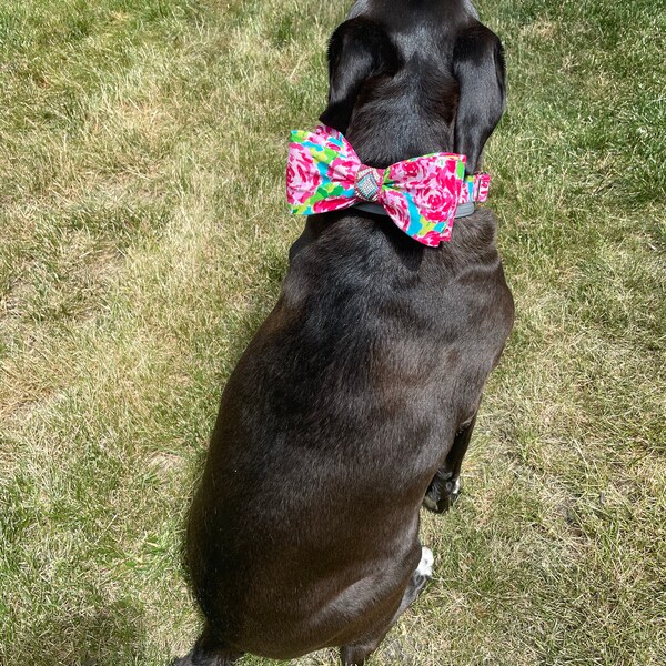 Pink Bow Tie Collar- Big Dog Bow- Oversized Bow -birthday Bow Tie for ...
