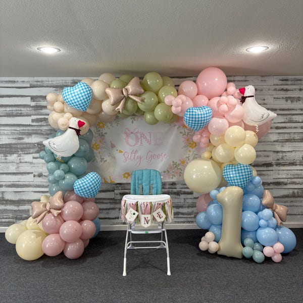 One Silly Goose Balloon Garland Balloon Arch Girls Silly Goose Birthday ...