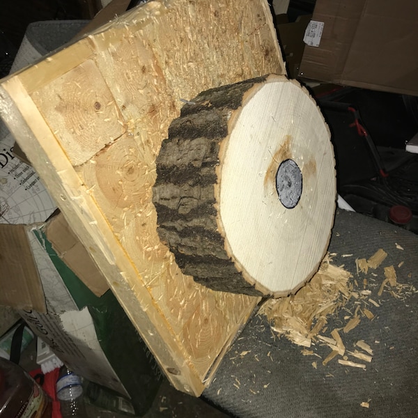 Aspen Tree Stump Large 10" to 12" Diameter X 4" to 36" Tall - Etsy