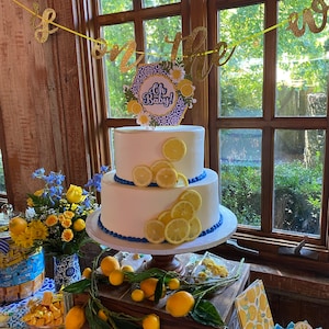 Dino Ranch Birthday Door Signdino Ranch Theme Decorations - Etsy