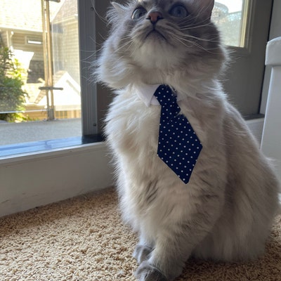 Red Chevron Skinny Cat Tie Cat Necktie Cat Necktie Collar - Etsy Canada