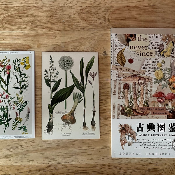 Washi Sticker Book - 20 Pages With Hundreds of Pre-cut Vintage Designs ...