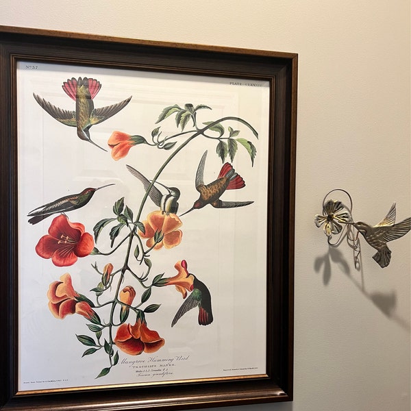 Hummingbird Print: Vintage Audubon Bird Drawing Poster - Etsy