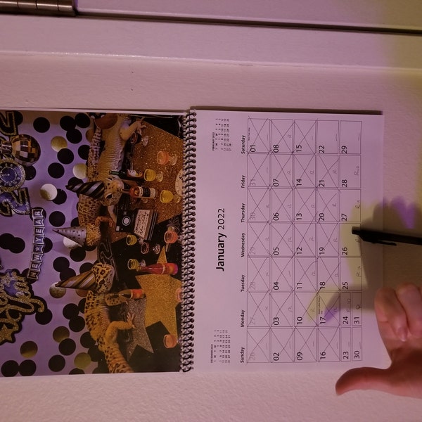 12 Months of Goofy Geckos Seek and Find 2025 Calendar - Etsy