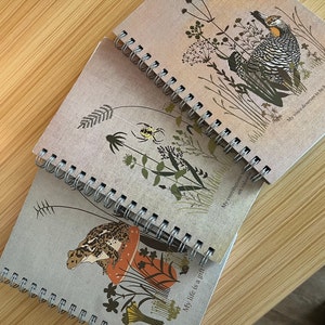 Prairie Chicken Illustration Print - Etsy