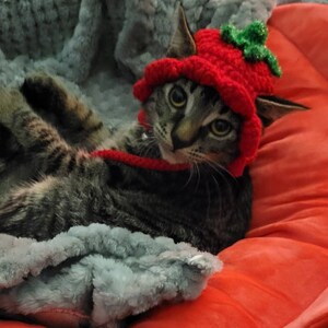 Flower Sun Hat 2 Different Styles Purple and White cat Accessories ...