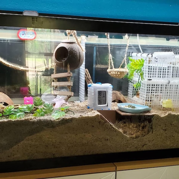 Aquarium Cave Tree Log Fish Tank Aquarium Decor Hide Cichlid Cave Kuhli ...