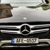 Custom European German License Plate - Etsy