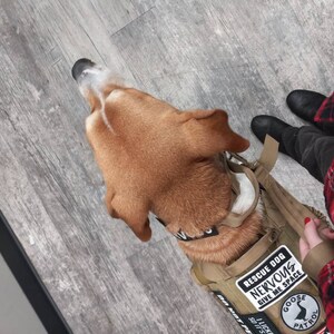 Hike to Hell Patch - Etsy