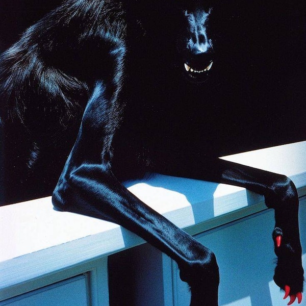 Novabeast Reference Sheet Base - Etsy