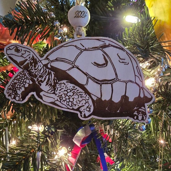 Centipede Scolopendra Centipedes Invertebrates Arthropod Chilopoda Drop ...