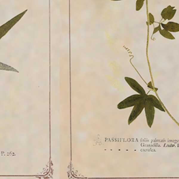 Fancy Alphabet Squares Printable, Decorative, Bold, Large Letters ...