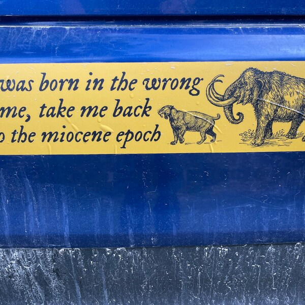 Wizard Bumper Sticker Funny, Cute Car Sticker Decals, Cursed Bumper ...