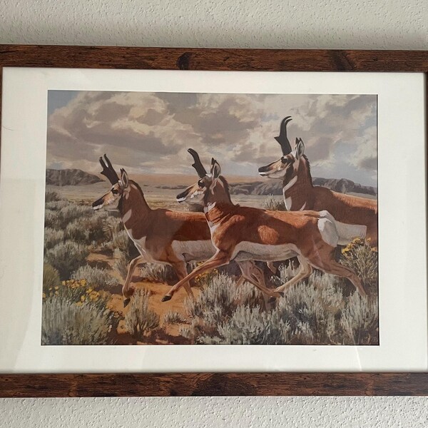 Vtg New Unused Cafe Curtain Rod Rings, 1 Inch Inside Diameter // Kirsch ...