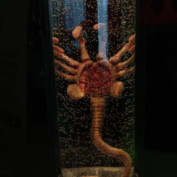 USA Alien in a Test Tube Embryo Glass Jar Prop Led Light Red Green Blue ...