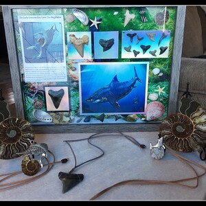 Make Yer Own Shark Art Kit Reef Shark | Etsy