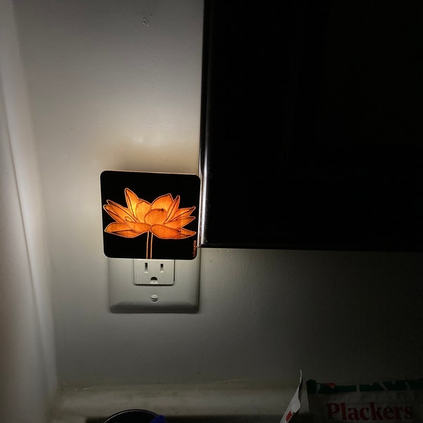 The Lotus (night Light, Lotus Flower, Art Prints, Lotus Seeds, Lotus ...