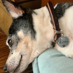 Microchip Dog Tag, Custom Dog Tag, Microchipped, Pet Tag, Dog ID Tag ...