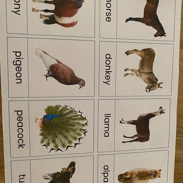 Bauernhoftiere Karteikarten: Montessori Karten, druckbare PDF (Instant ...