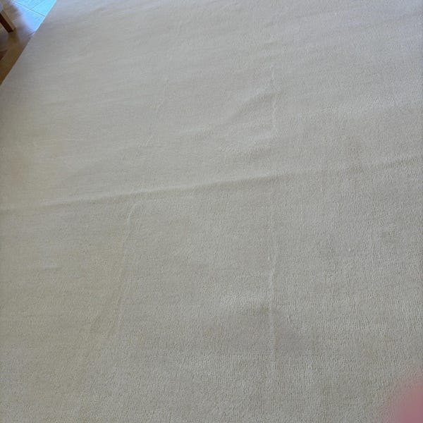 Modern Handmade 12x18 Fine Ivory Curve Embossed Cut Tufted Area Rug for ...