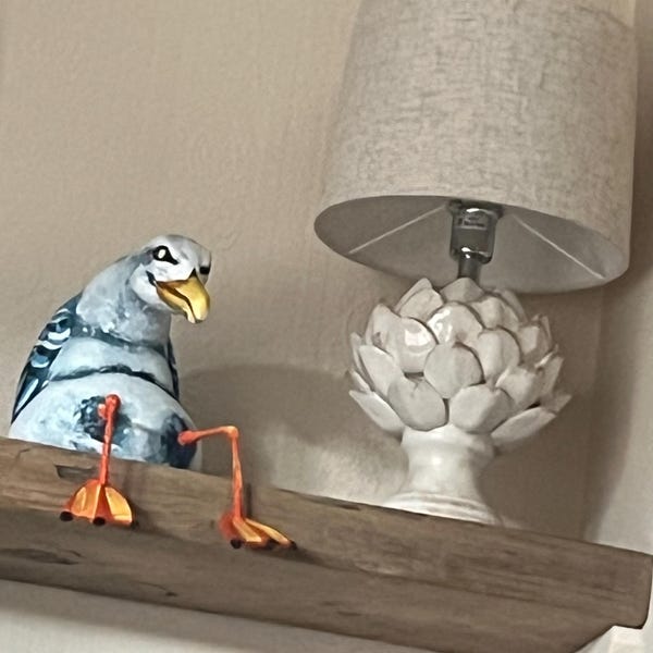 Grumpy Seagull "cliff"! - Etsy UK