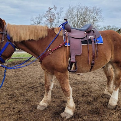 Create Your Own Custom 9 Strand Braided Paracord Barrel Reins Horse ...