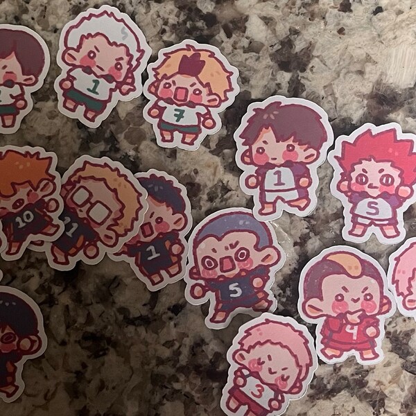 Volleyball Idiots Sticker Set - Etsy