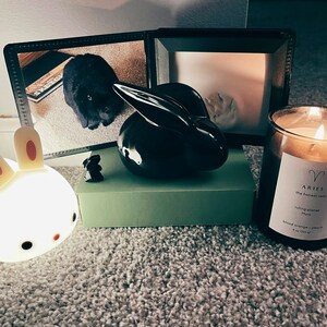 Rabbit Urn Bunny Ashes Casket - Etsy