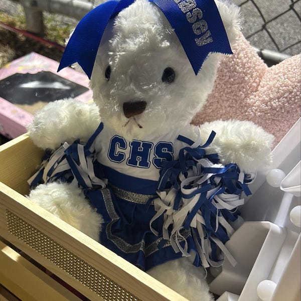 Personalized Cheerleading Plush Bear, Custom All-star Cheer Bears ...