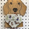 Printable Dachshund Pet Collar DIY Display Card Dog Accessory Display ...