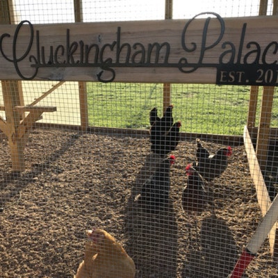 Cluckingham Palace, Metal Chicken Coop Sign, Established Date Any, Coop ...