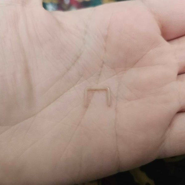 Gorilla Glass Solid Hive Cocoons 1/2 Inch or Larger Priced per Pair. - Etsy