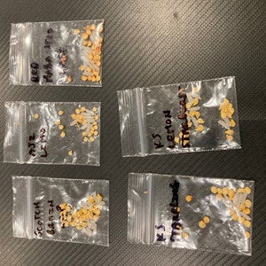 Korean Gochu Pepper Seeds - Etsy