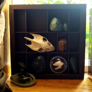 Wooden Curiosity Cabinet Printer Tray Letterbox Display, Rock Display ...