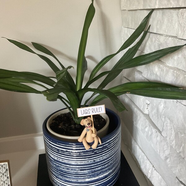 Cat Pot Sitter / Gray Tabby Cat / Flower Pot Sitter / Cat Pot Hugger / Cat Lover Gift / Cat Pot ...