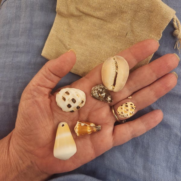 Customizable Hebrew Cone Shell Braided Bracelet. - Etsy